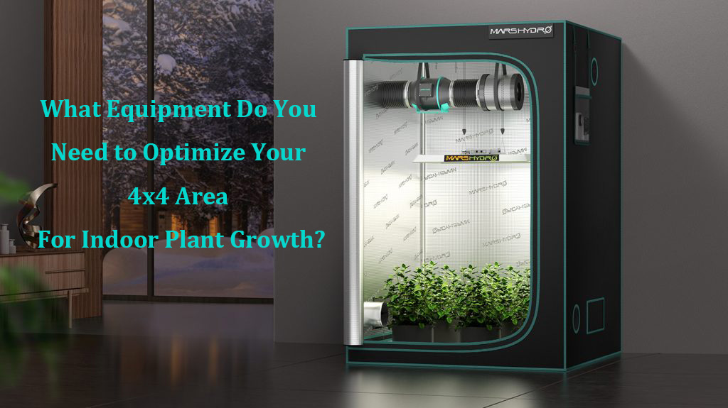 What Equipment Do You Need to Optimize Your 4x4 Area for Indoor Plant ...